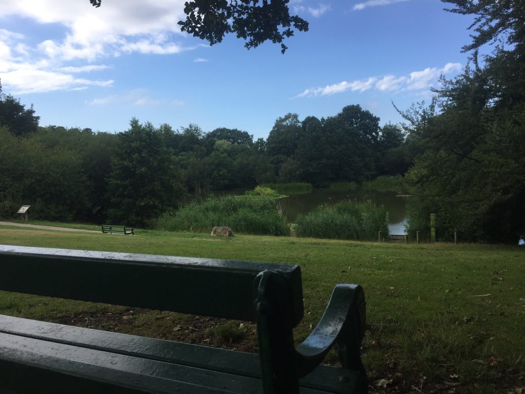 5 interesting things about Acton… - Wrexham Council News