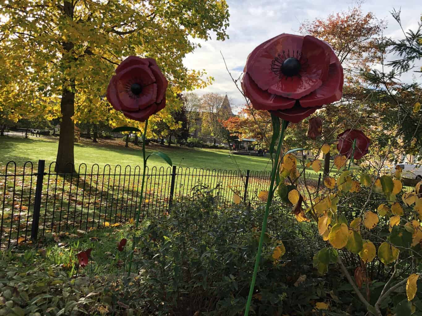 Wrexham prepares for annual Remembrance campaigns - Wrexham Council News